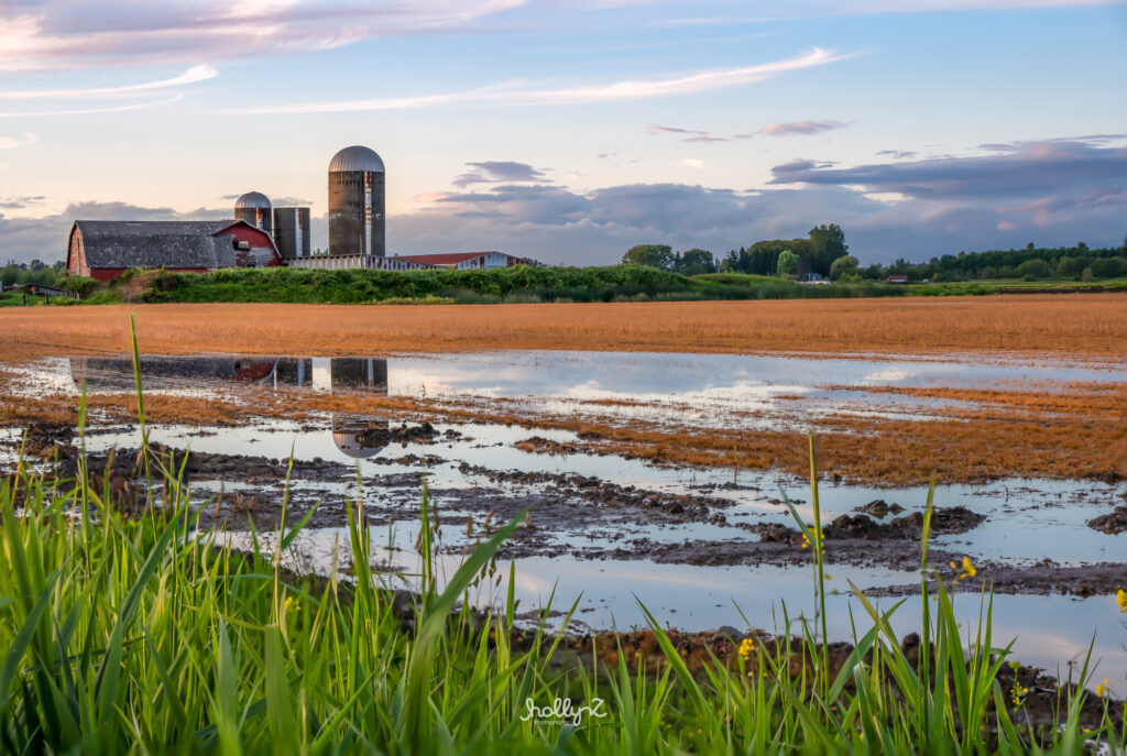 Farm Reflection - Holly Z Photography